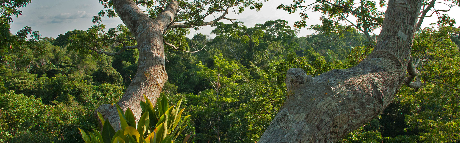 MoSCAL | Publicaciones - SIAT-AC